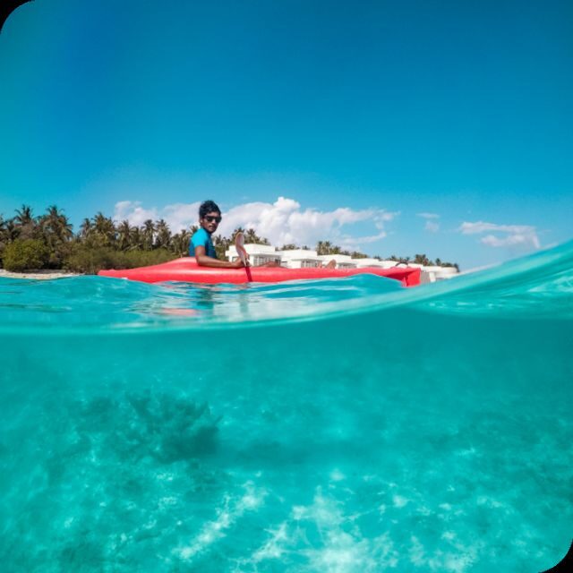St. Petersburg, FL: Weedon Island Kayak Tour - Who Should Consider This Tour?