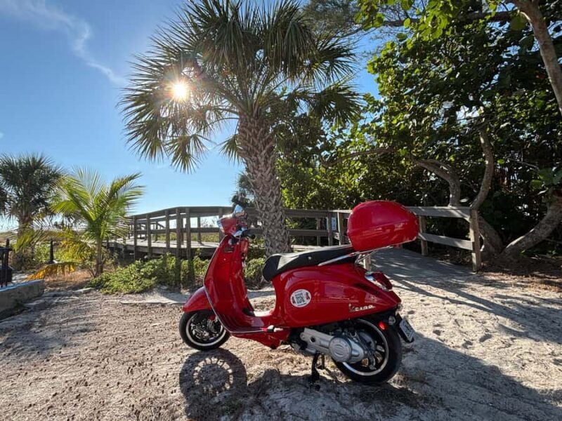 St. Petersburg: Guided Vespa Beach Tour With Curated Stops - An In-Depth Look at the Vespa Beach Tour