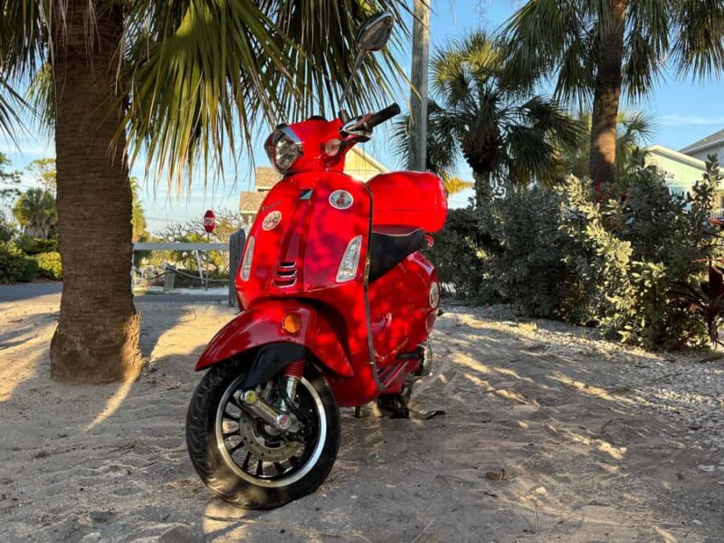 St. Petersburg: Guided Vespa Beach Tour With Curated Stops - FAQ
