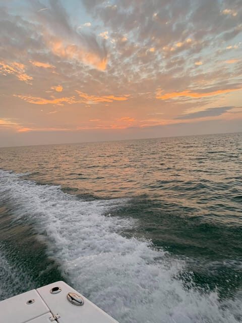 St Petersburg: In-Shore Fishing Charter - Key Points