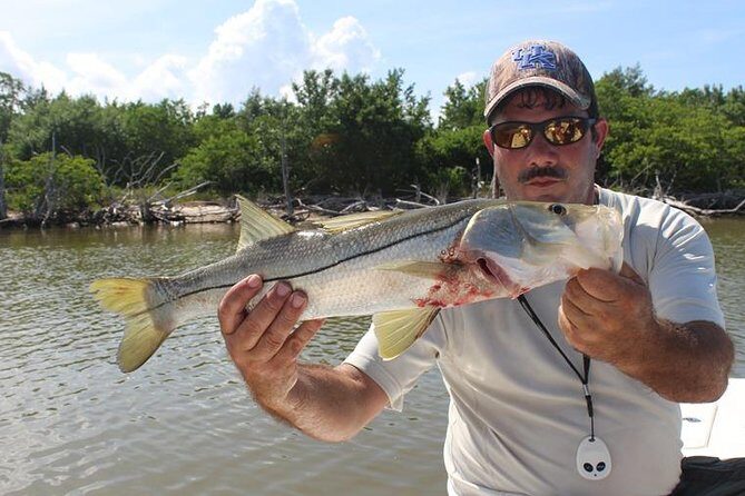 St Petersburg Inshore Fishing Charters - Who Should Consider This Tour?