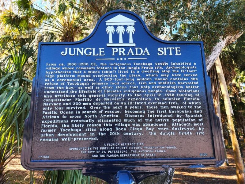 St. Petersburg: Jungle Prada Site History Tour - What You’ll See and Learn