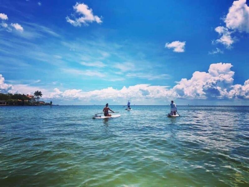 St. Petersburg: Paddle Board Tour with Wildlife Spotting - Key Points