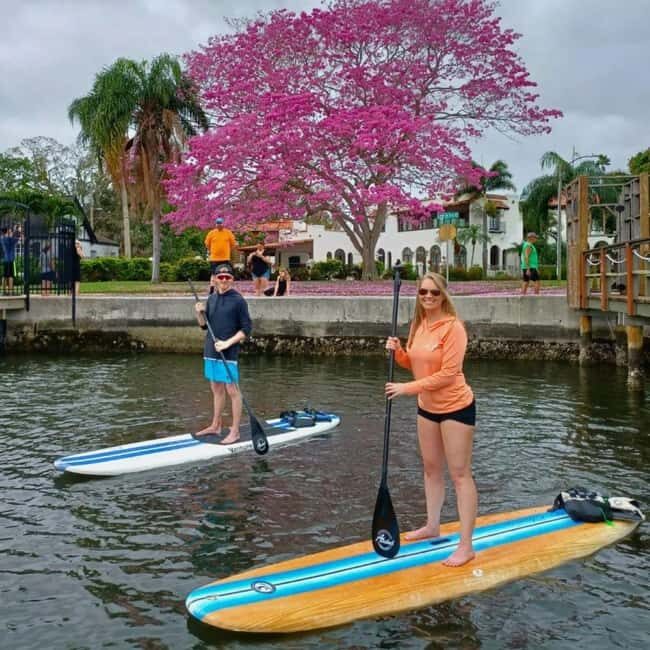 St. Petersburg: Paddle Board Tour with Wildlife Spotting - The Experience: A Close-Up Look at the Itinerary