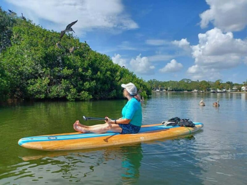 St. Petersburg: Paddle Board Tour with Wildlife Spotting - Practical Details and Considerations
