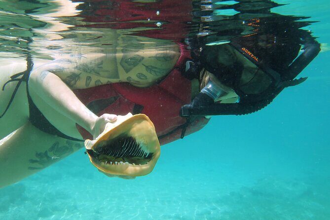 St Thomas Kayak and Sea Turtle Snorkel Excursion - Why the Guided Experience Matters