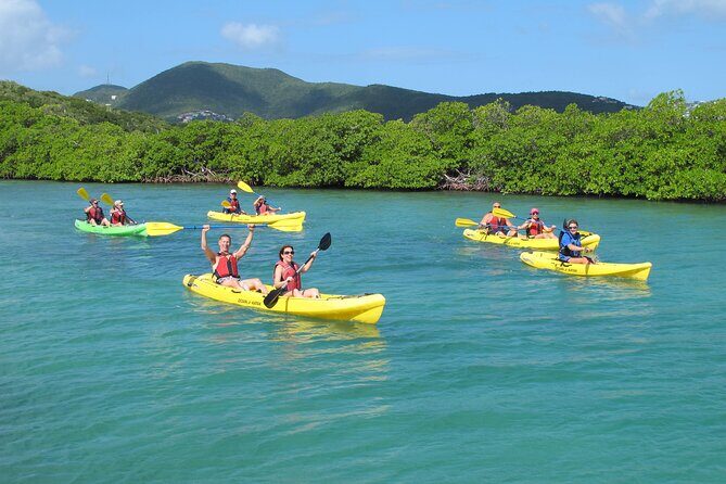 St Thomas Shore Excursion: Mangrove Lagoon Kayak and Snorkel Tour - Key Points