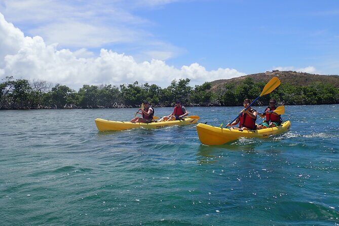 St Thomas Shore Excursion: Mangrove Lagoon Kayak and Snorkel Tour - FAQ