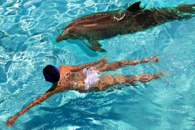 St Thomas~St John Snorkel, Swim & Beach Trip on MV Island Flyer - Customer Experience & Authenticity