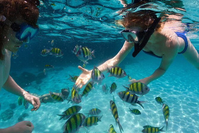 St Thomas~St John Snorkel, Swim & Beach Trip on MV Island Flyer - FAQ