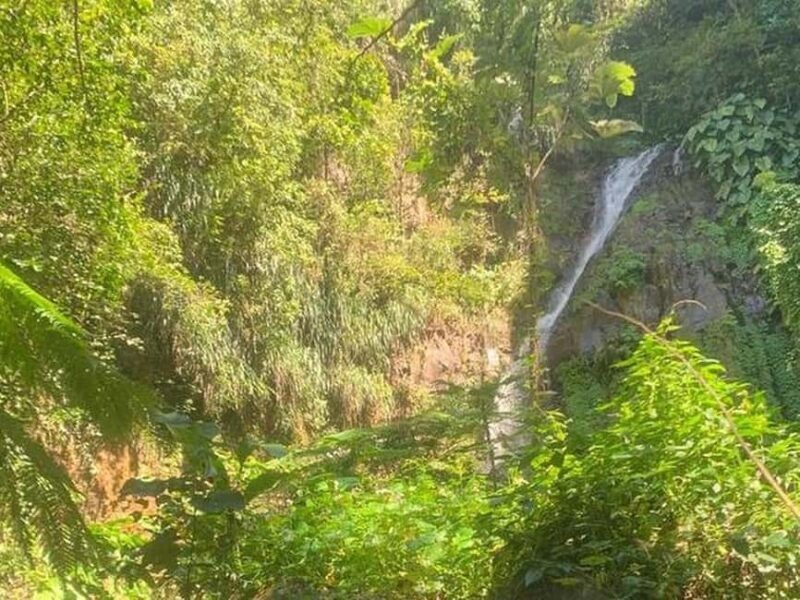 St. Vincent: Dark View Falls Tour - Key Points