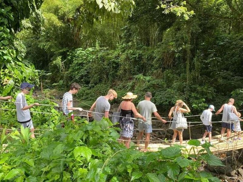 St. Vincent: Dark View Falls Tour - An Introduction to the Dark View Falls Tour