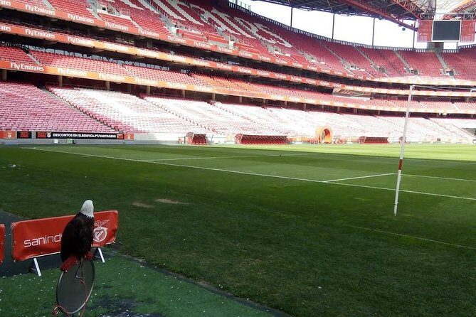 Stadium of Benfica Experience and Museum Visiting - Key Points