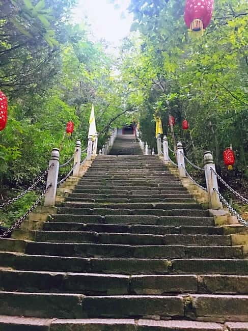 Stairway to Skyline: Chongqing's Vertical Heritage Tour - The Value Proposition