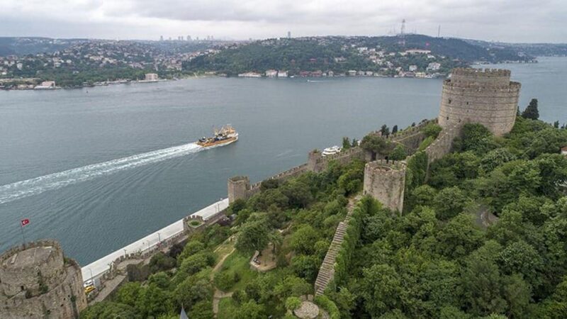 stanbul: Afternoon Bosphorus and Black Sea Cruise - A Calm and Scenic Waterway Journey