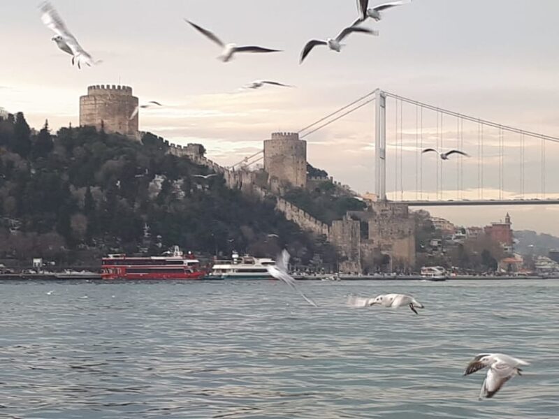 stanbul True Discovery Tour - Authentic Experiences and Highlights