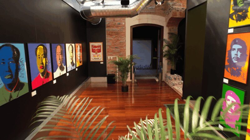 stanbul Tulip Museum - Introduction