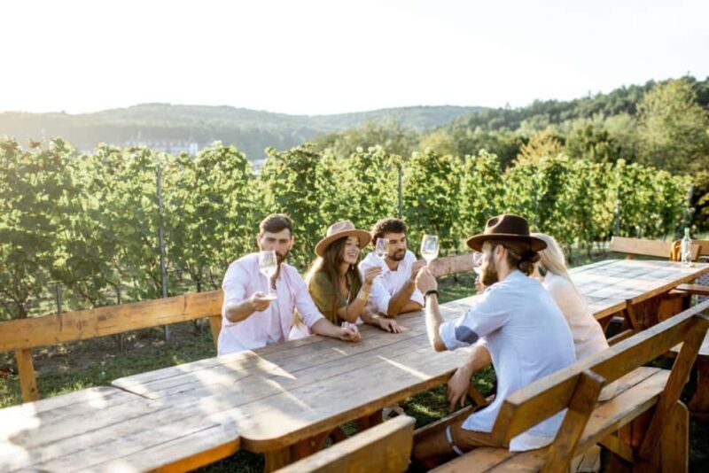 Stancija Collis: A Private Winery adventure in Rovinj - An In-Depth Look at Stancija Collis Experience