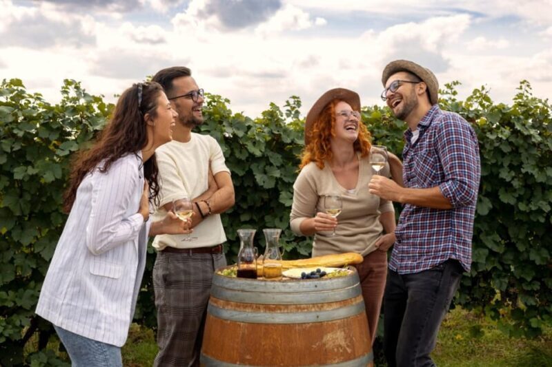 Stancija Collis: A Winery adventure in Rovinj - Key Points