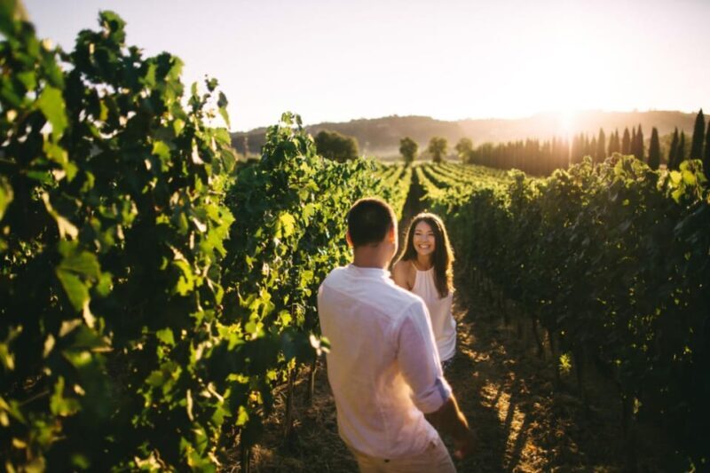 Stancija Collis: A Winery adventure in Rovinj - Why Consider the Stancija Collis Experience?