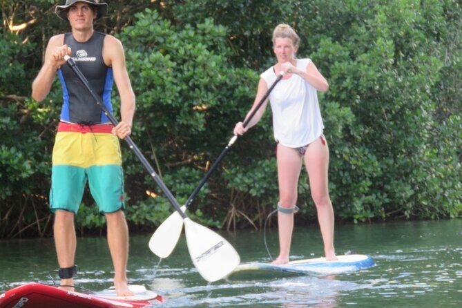 Stand Up Paddle Adventure in Guadeloupe - What the Tour Entails