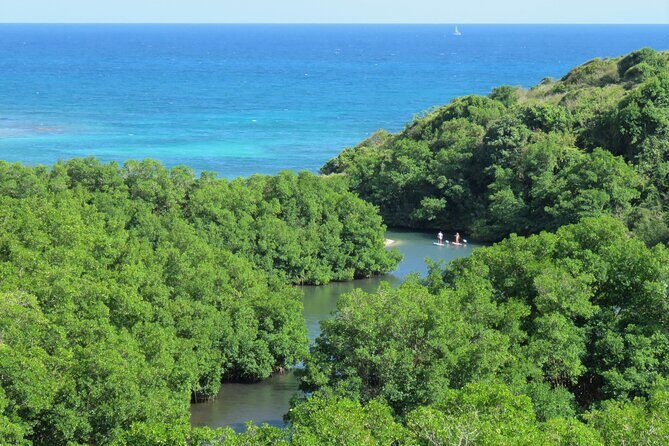 Stand Up Paddle Adventure in Guadeloupe - Who Should Book This Tour?