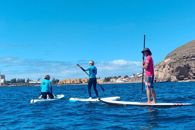 Stand Up Paddle and Snorkeling Tour of Gran Canaria with Transfers south area - What You Can Expect from This Water Tour
