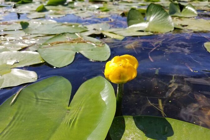 Stand Up Paddle at Skadar lake and Hiking from Valbona to Theth in 4 Days - Final Thoughts