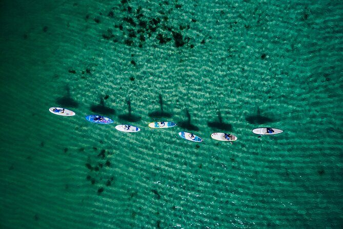 Stand Up Paddle Board Experience on Pristine Gnarabup Bay - What to Expect from the Paddleboarding Experience