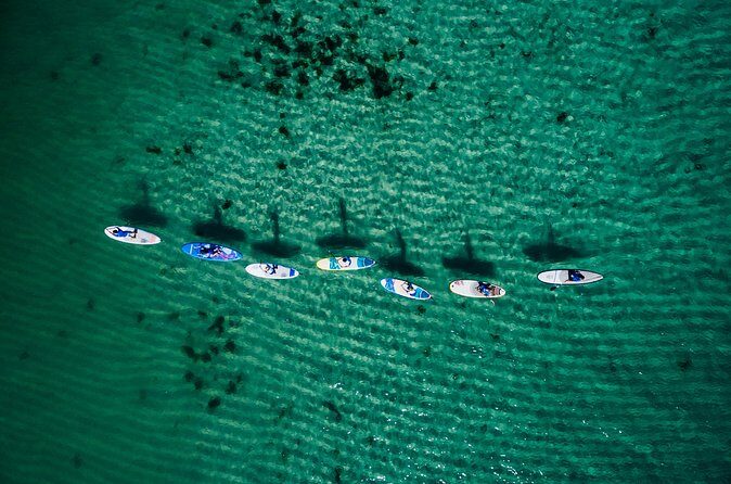 Stand Up Paddle Board Experience on Pristine Gnarabup Bay - Authentic Experiences and Valuable Insights