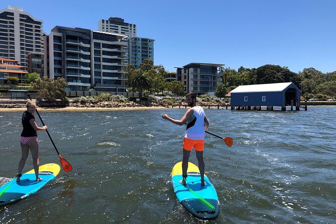 Stand Up Paddle Board Hire - Real Experiences: What Participants Say