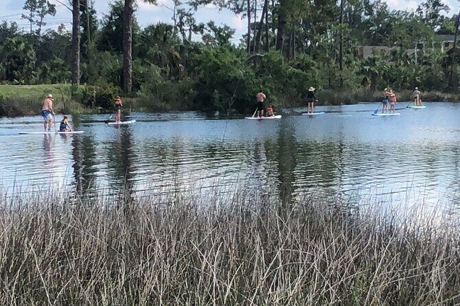 Stand Up Paddle Board Lesson in Panama City Florida - Practical Details and Tips