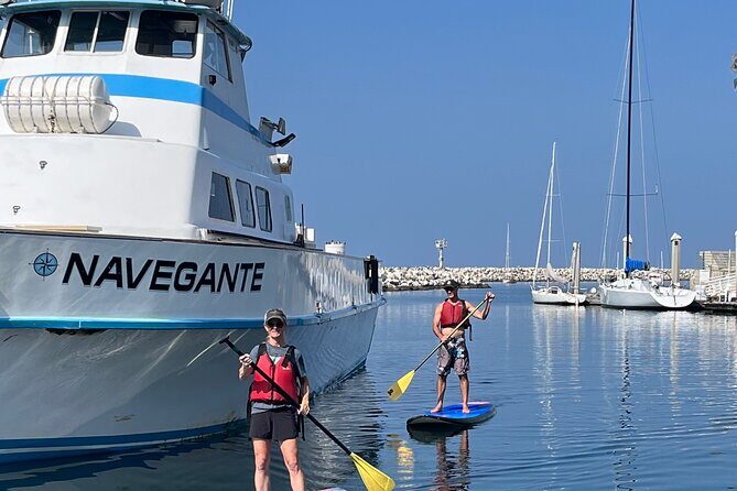 Stand Up Paddle Board Redondo Beach - What Reviewers Say