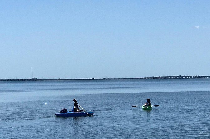 Stand Up Paddle Board Rental - What to Expect from Your Tampa Water Sports Rental