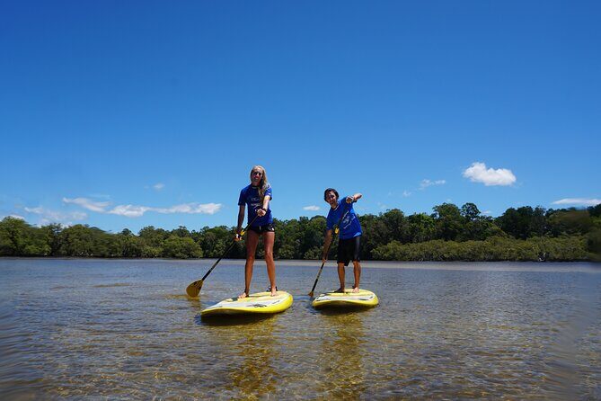 Stand-Up Paddle Board Tour in Byron Bay - Value and Practical Aspects