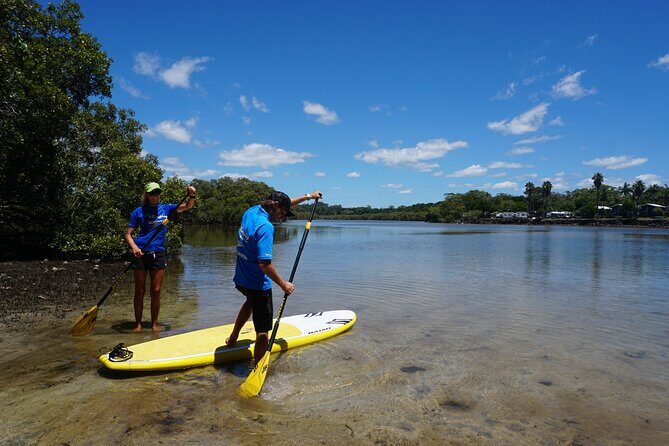 Stand-Up Paddle Board Tour in Byron Bay - The Sum Up