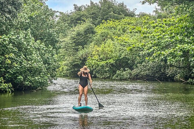 Stand Up Paddle Boarding Adventure in Windward Oahu - Key Points