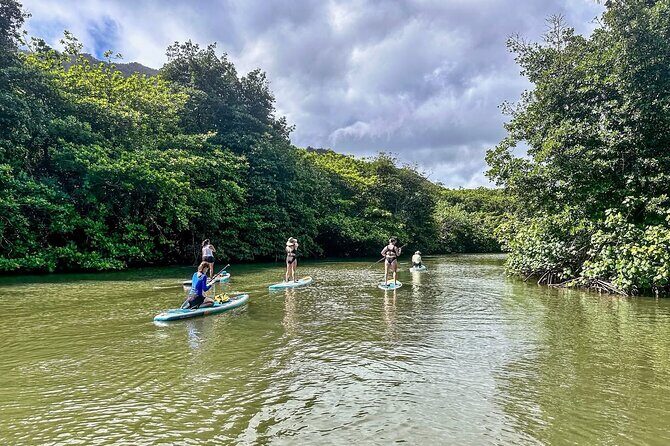 Stand Up Paddle Boarding Adventure in Windward Oahu - What to Expect During the Tour