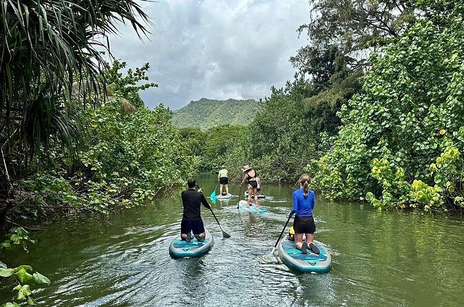 Stand Up Paddle Boarding Adventure in Windward Oahu - The Pricing and Its Value