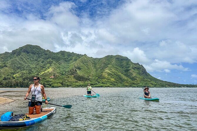 Stand Up Paddle Boarding Adventure in Windward Oahu - The Sum Up