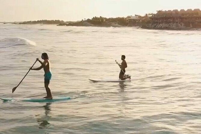 Stand-Up Paddle boarding in Tulum with Snorkeling 1hr - An Introduction to the Tulum Paddleboarding Tour
