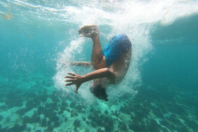 Stand-Up Paddle boarding in Tulum with Snorkeling 1hr - Authentic Experiences and Traveler Feedback