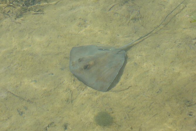 Stand up paddle in paradise - FAQ