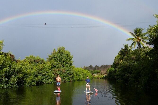 Stand Up Paddle Nature and Turtle tour-Guaranteed to see turtles - Introduction