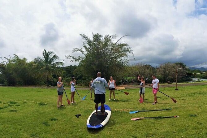 Stand Up Paddle Nature and Turtle tour-Guaranteed to see turtles - The Sum Up