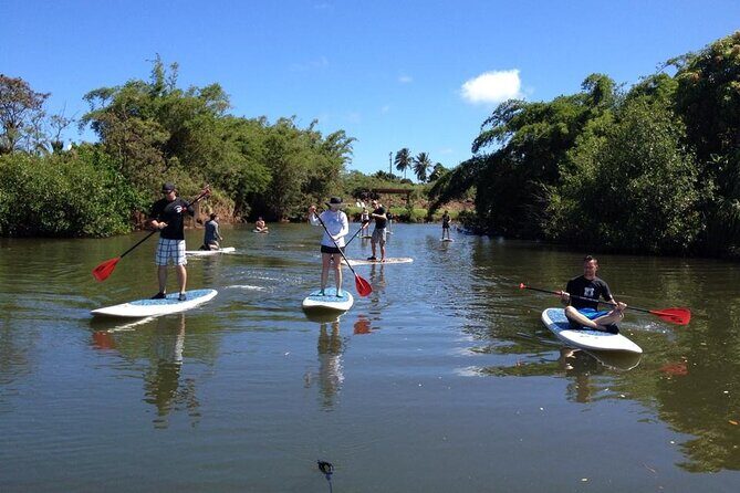 Stand Up Paddle Nature and Turtle tour-Guaranteed to see turtles - FAQ