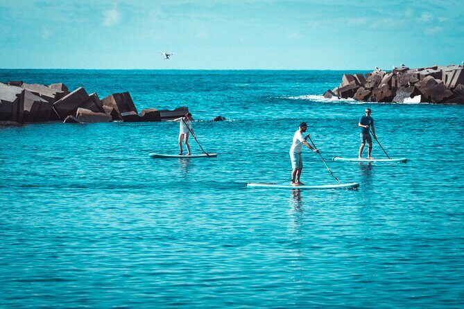 Stand Up Paddle Private Lesson in Calheta Beach - Frequently Asked Questions (FAQs)