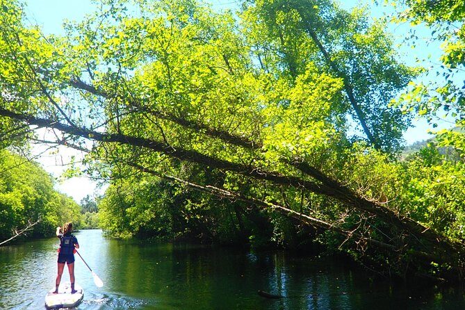 Stand Up Paddle Tour - Final Thoughts: Who Should Consider This Tour?