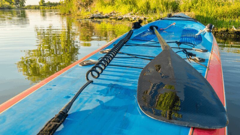 Stand-Up Paddle Tour on the River Vez with guide - An Introduction to the Paddle Tour Experience