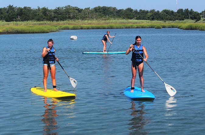 Stand Up Paddleboard Rental - The Value: How Well Does the Cost of $28 Hold Up?